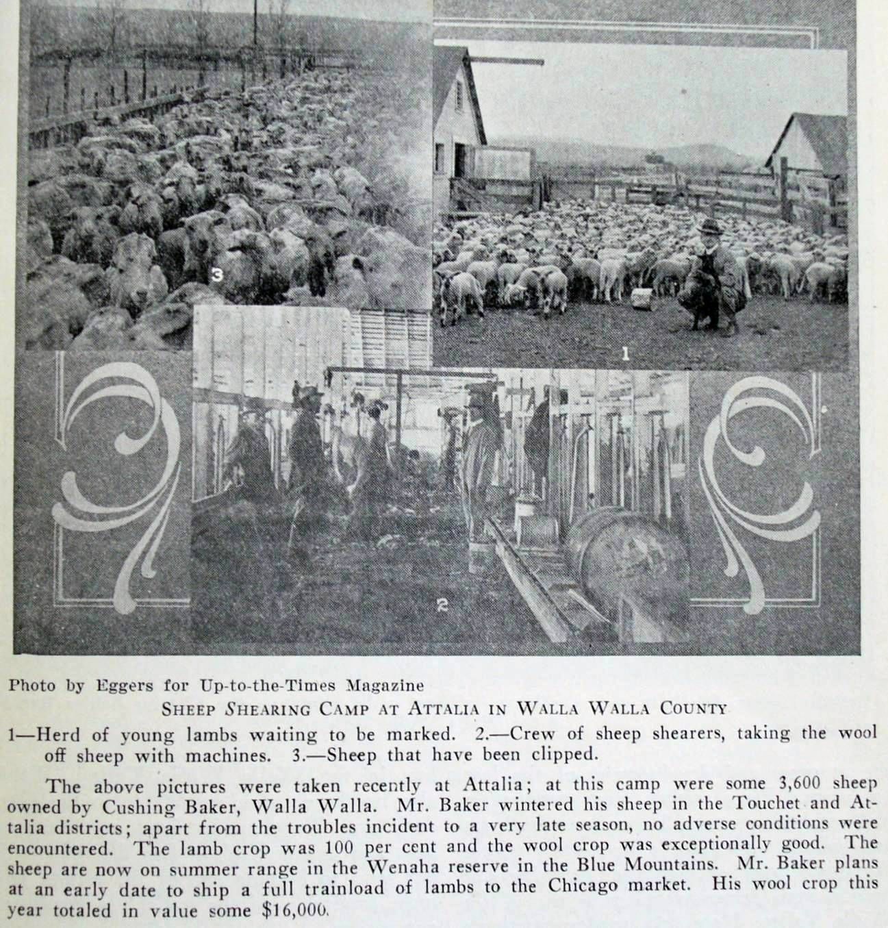 Bygone Walla Walla: vintage images of the City and County (and beyond ...