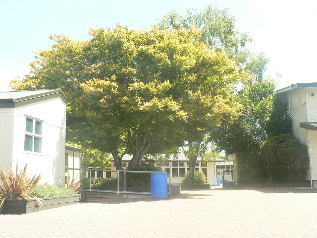 Room 5 @ Melville Intermediate School: June 2012