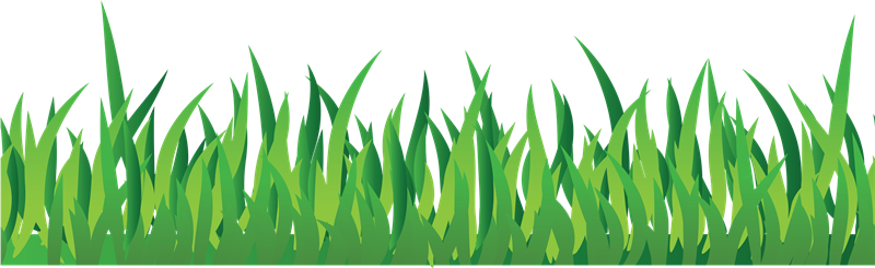 ® Imágenes y Gifs Animados ®: IMÁGENES DE CÉSPED O GRAS