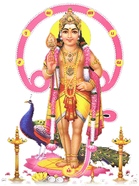 Lord Murugan Hd Photos God Murugan Wallpapers Images - Devotional Pictures