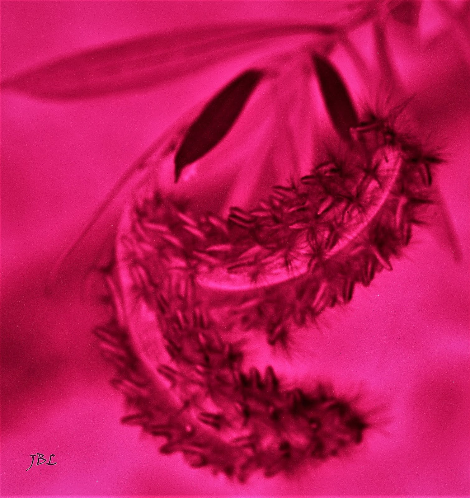 A PIE DE CLÁSICO: MELISO DE SAMOS. UNIDAD E INFINITUD