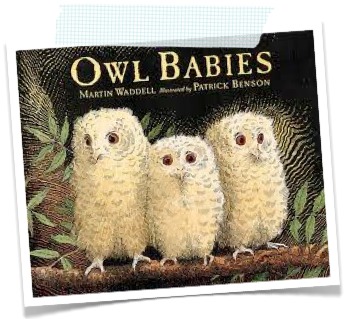 Al Suroor KG 1-4: Story of the Week: Owl Babies