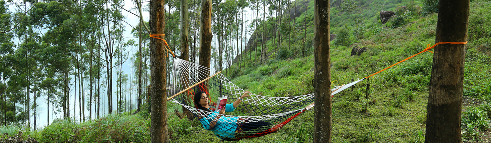 Munnar Nature Zone Resort: Munnar Wildlife