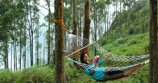 Munnar Nature Zone Resort: Munnar Wildlife
