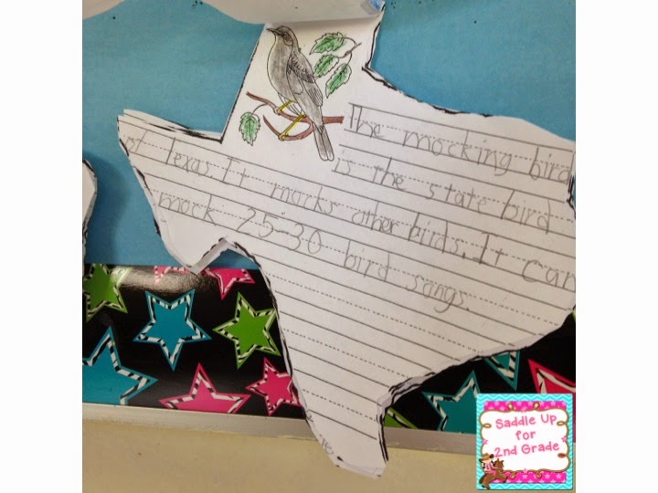 Texas Our Texas - Saddle Up for 2nd Grade
