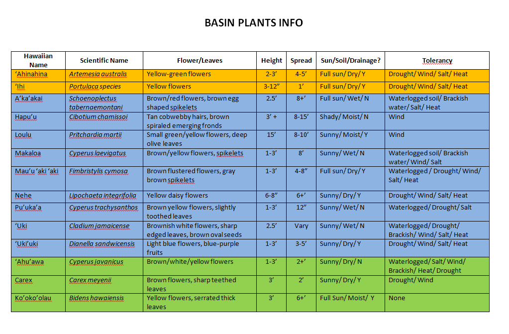 Rain Garden : Native Hawaiian Plant Charts