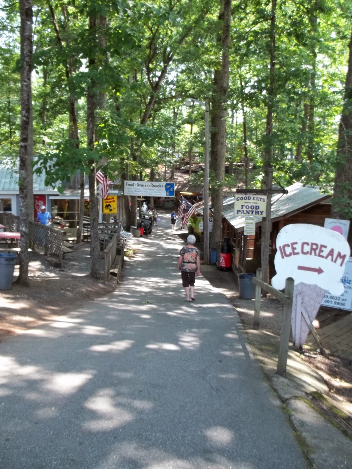 Blue Ridge Poet: Georgia Mountain Fair