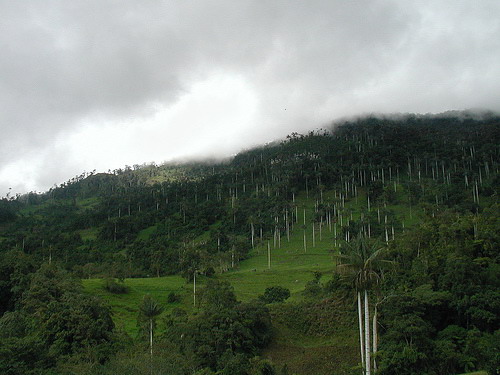 VISITEMOS MI PERU: PARQUE NACIONAL DE CUTERVO
