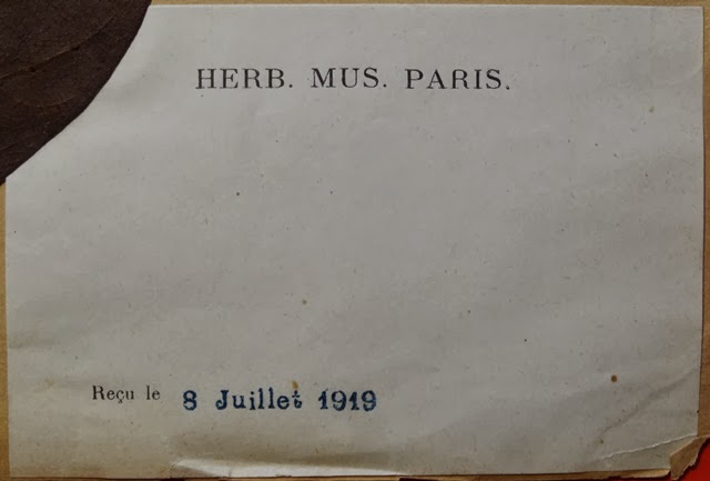 Jacques Huber and the Amazonian Botany: Plant collections