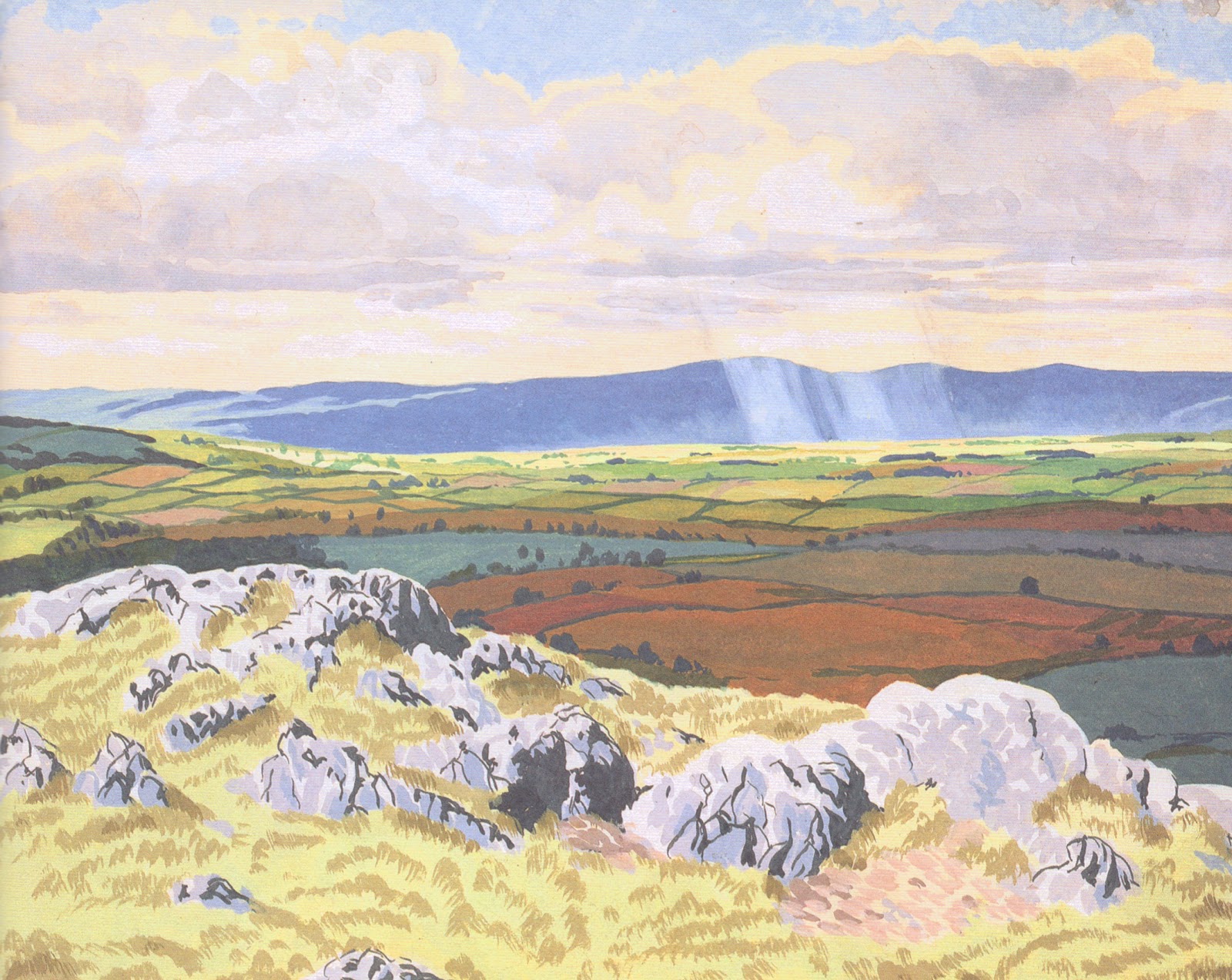 mothandco: Brian Cooke