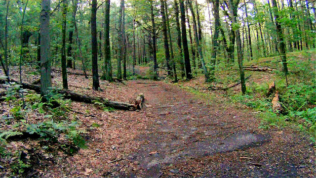 Nor'Easter Backcountry: Whipple Hill in Photos