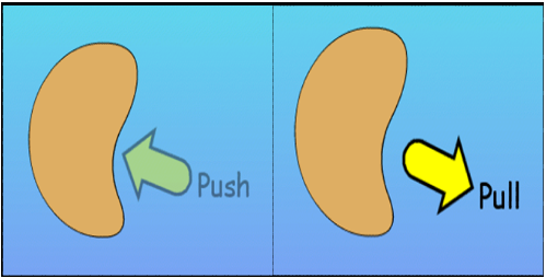 Science for Primary School ( Year 2): UNIT 8: PUSH AND PULL