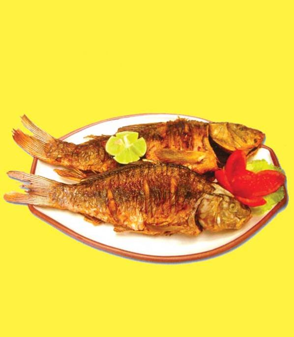 CARPA | El Chef dice