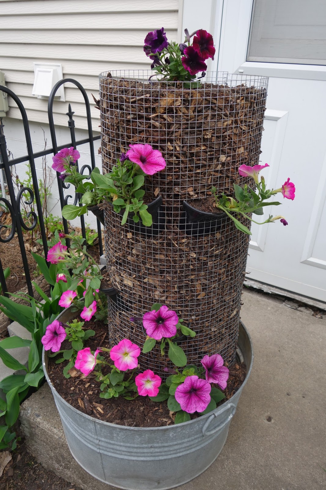 Deaf Dogs and Benevolent Gnomes: Petunia Tower