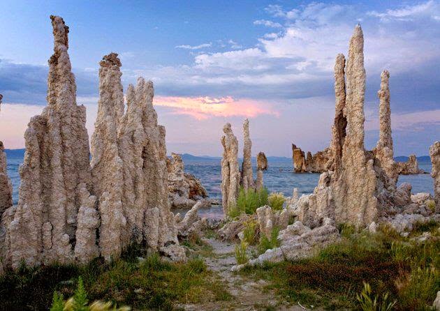 Alluring Planet: 2014