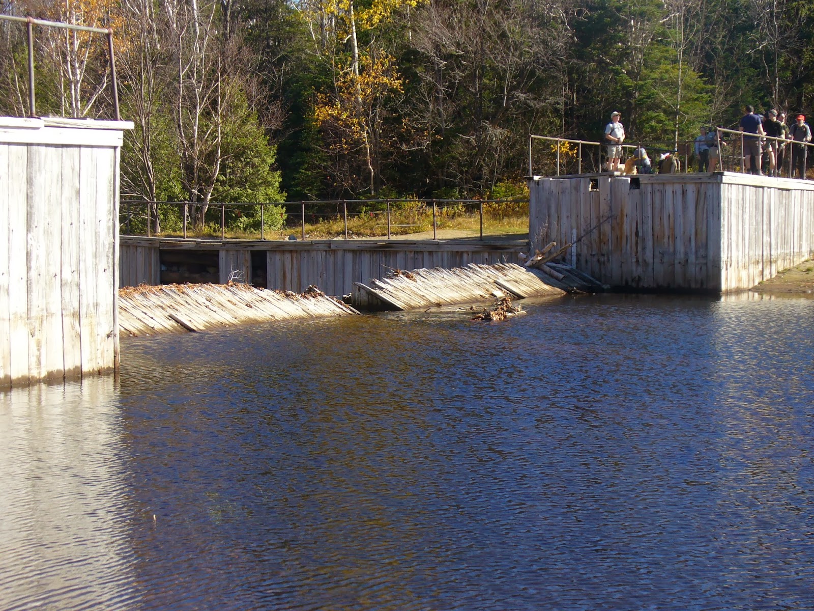 Staying Connected: Lake Placid Camp Out