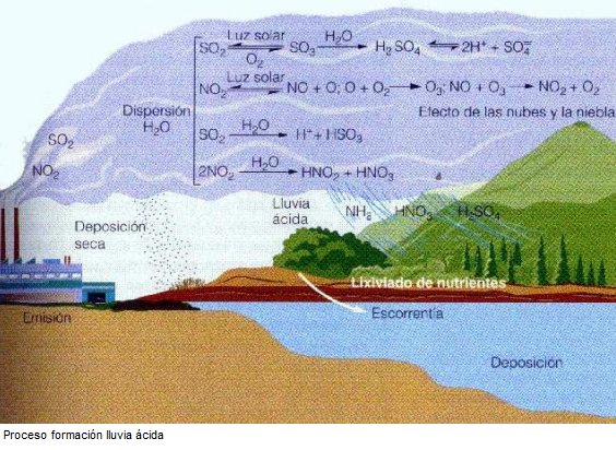 LUGAR VERDE: Consecuencias de la lluvia ácida