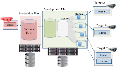 Delphix: Problems with Storage Snapshot based DaaS