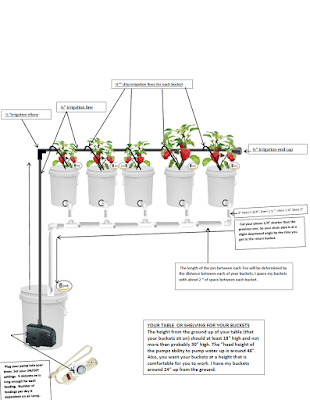 PREPPER PANTRY GARDEN: Basic Dutch Bucket Set Up