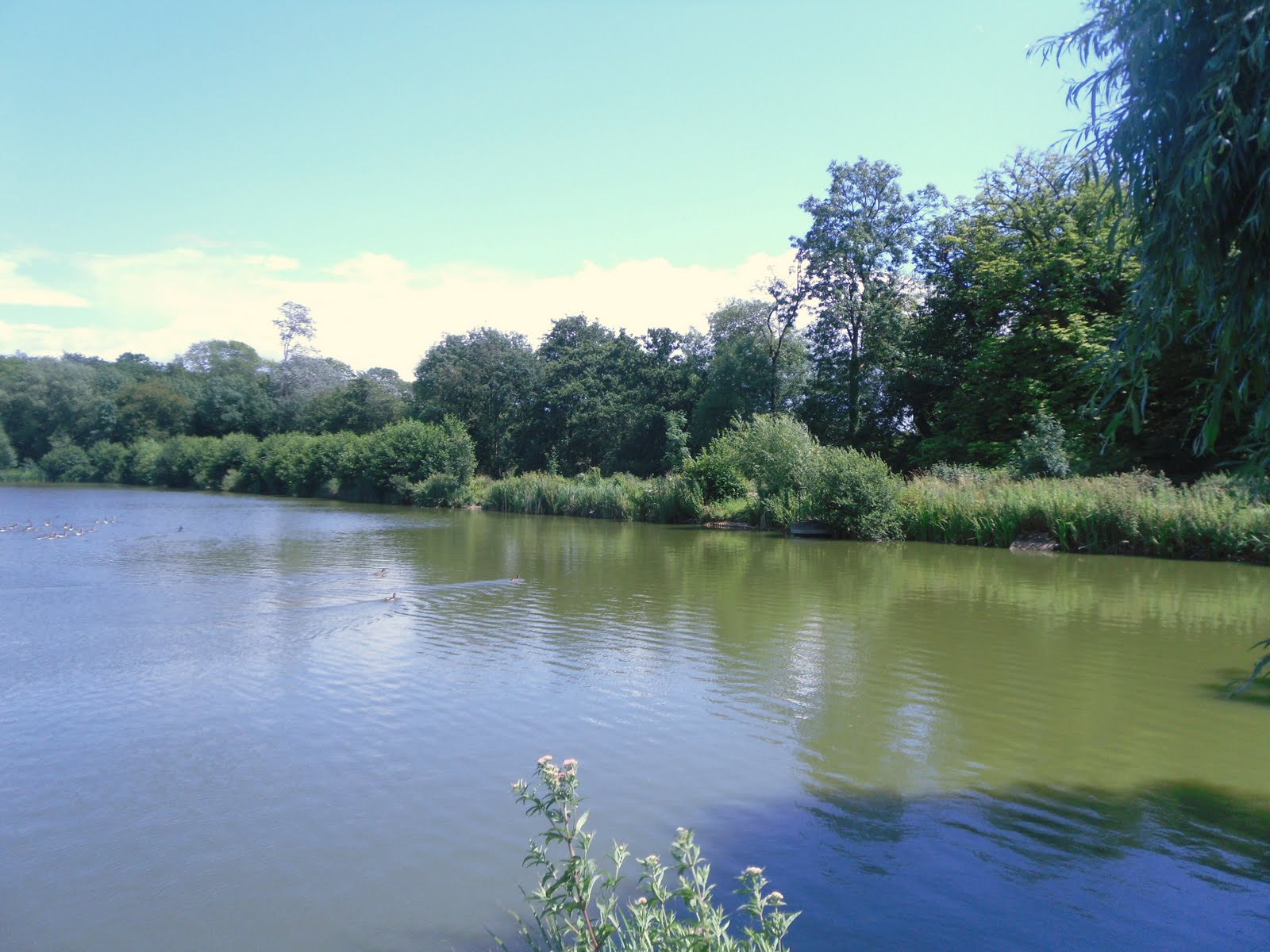 HAUNTED HATFIELD FOREST | Haunted Earth`s Ghost World