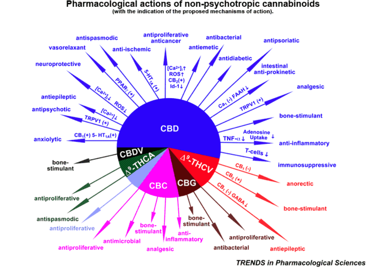 Health.Marijuana.Canada: Pharmacological actions of non-psychotropic ...