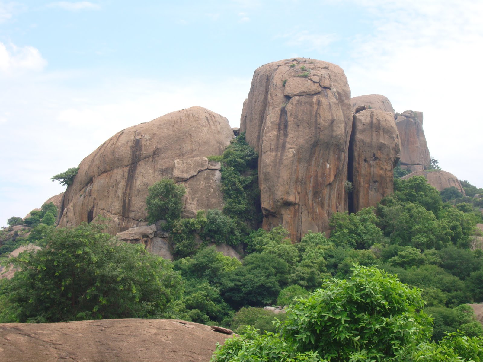 Vanasiri....: Vanasiri photos