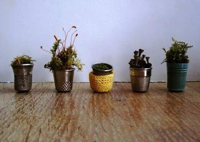 With this string...: Twinkle, Thimble, Tattoo...