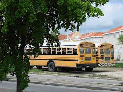 Buses from various cities in the world.: School Bus in Curaçao,NA