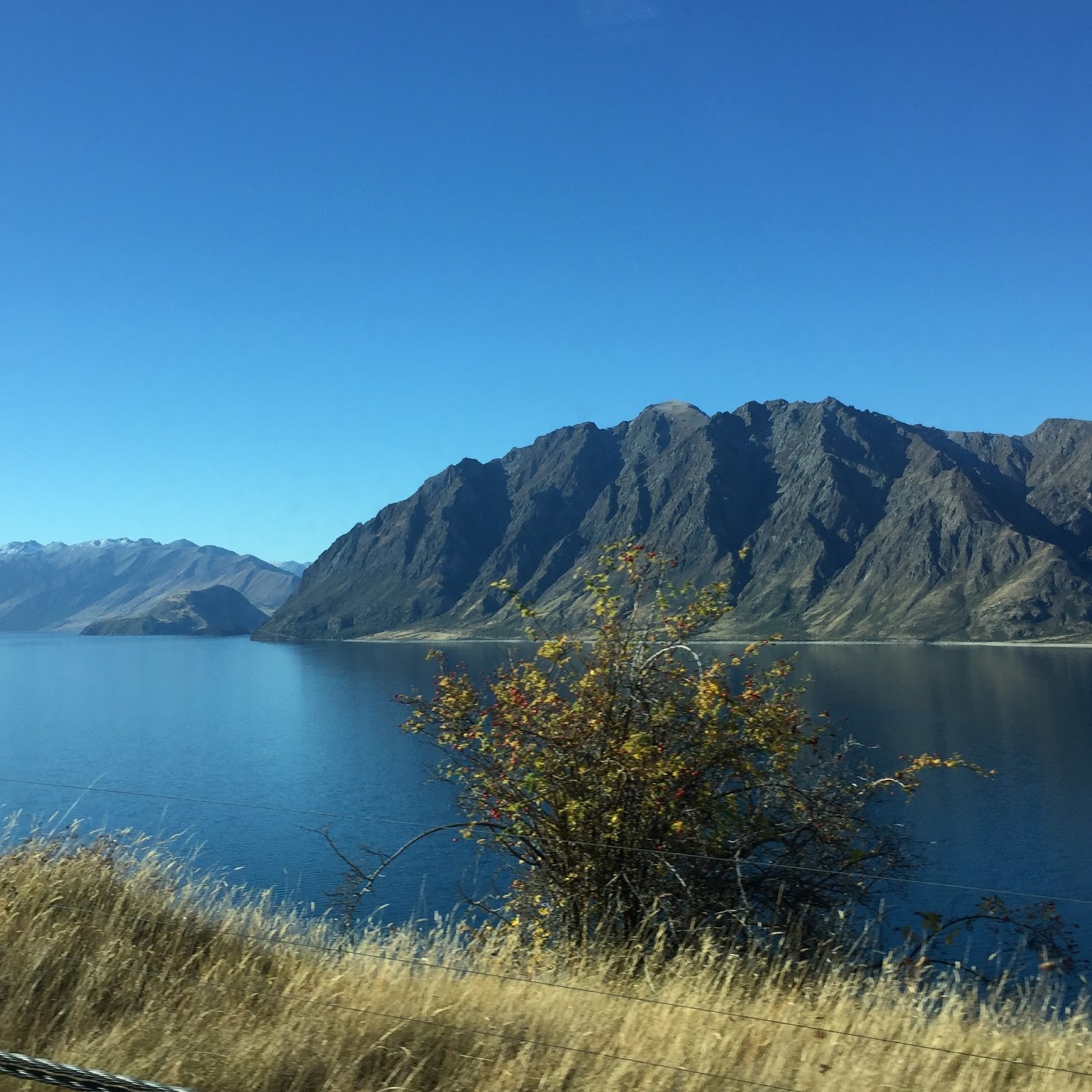 THE ROAD TAKEN : Azure Drive: Haast to Lake Wanaka and Lake Hawea