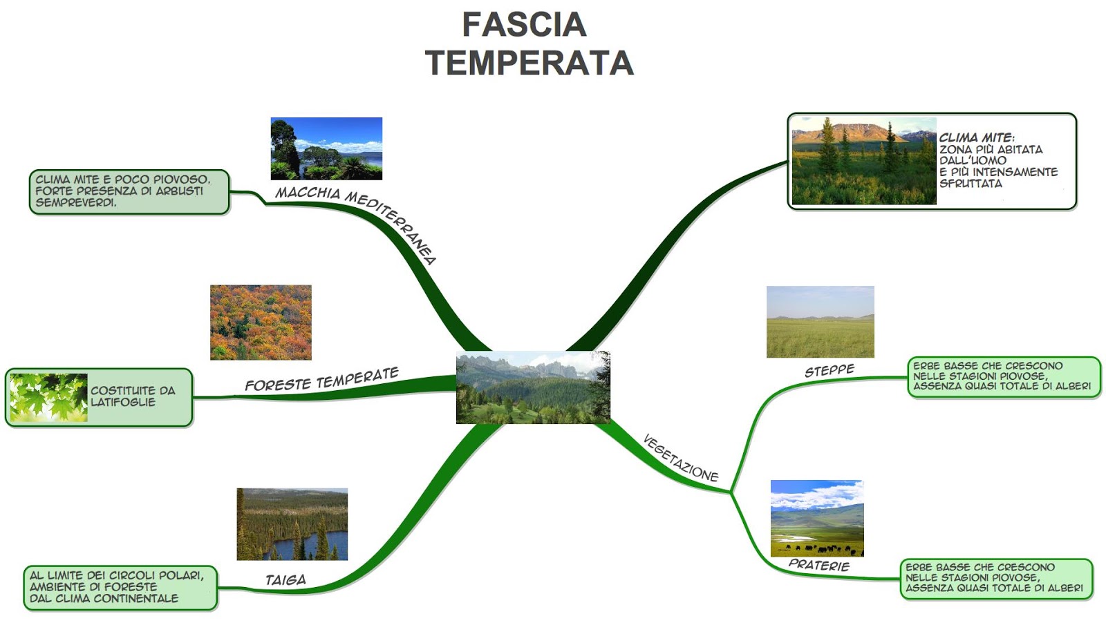 4^ elementare - Geografia - il clima