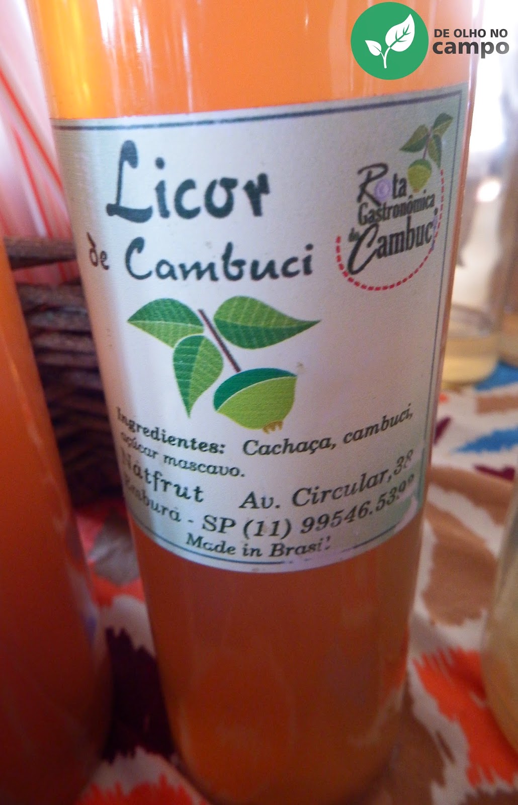 "Nosso objetivo é tornar o cambuci uma fruta popular"