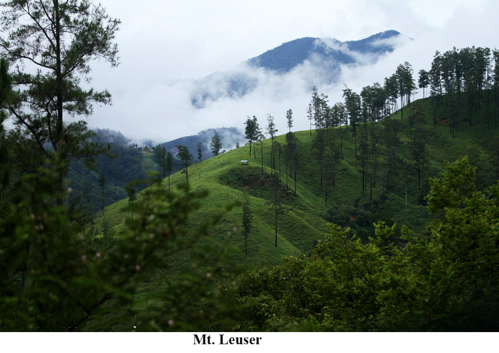 The Beauty Landscape of Indonesia: The Great 20 Beautiful Scenary from ...