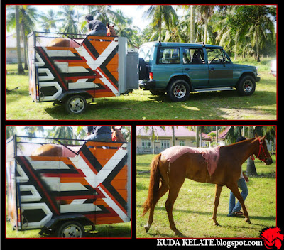 KUDA KELATE: Float Kuda Kelate