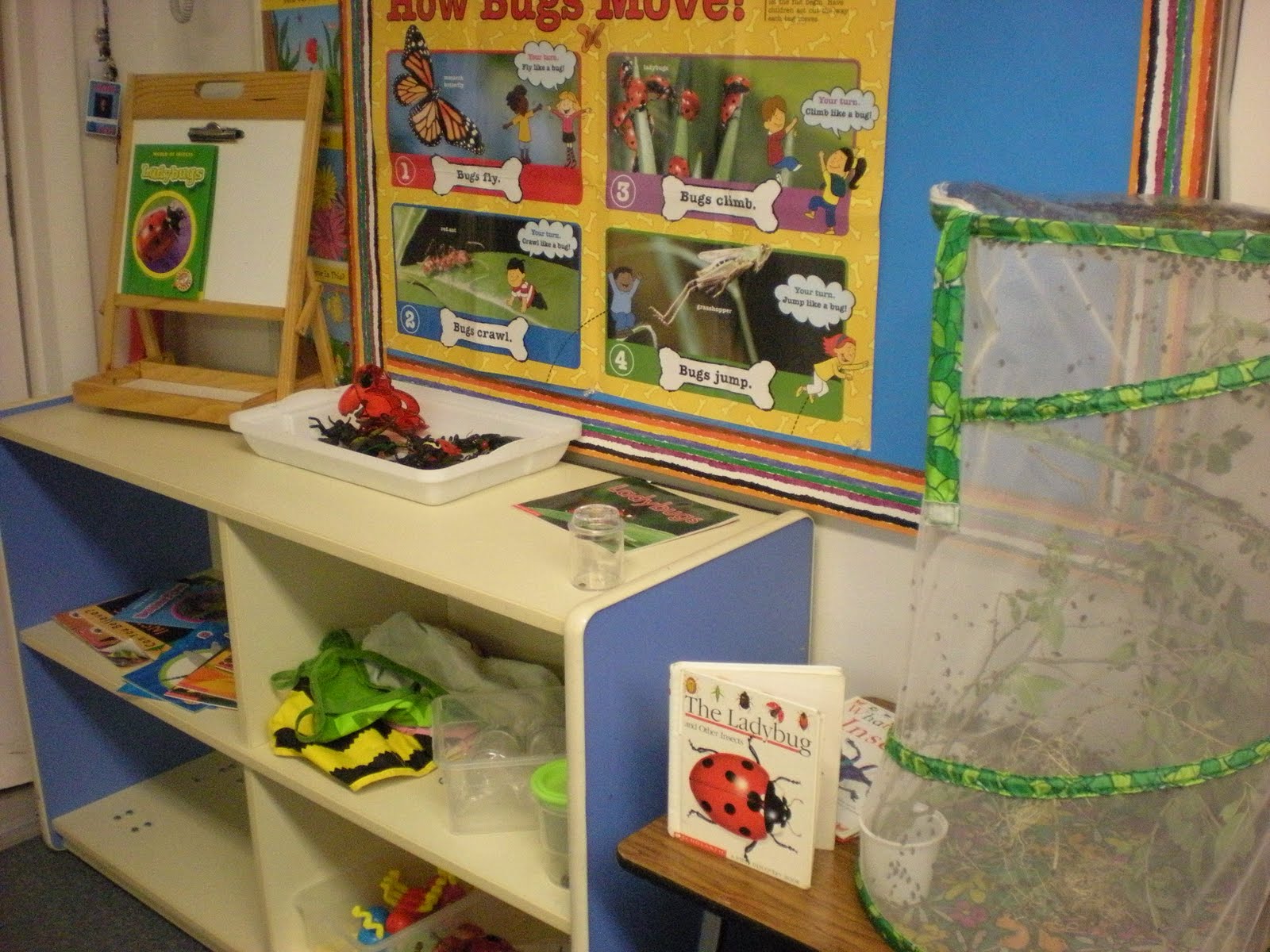 Kindergarten Kiosk: Ladybugs at the Science Center