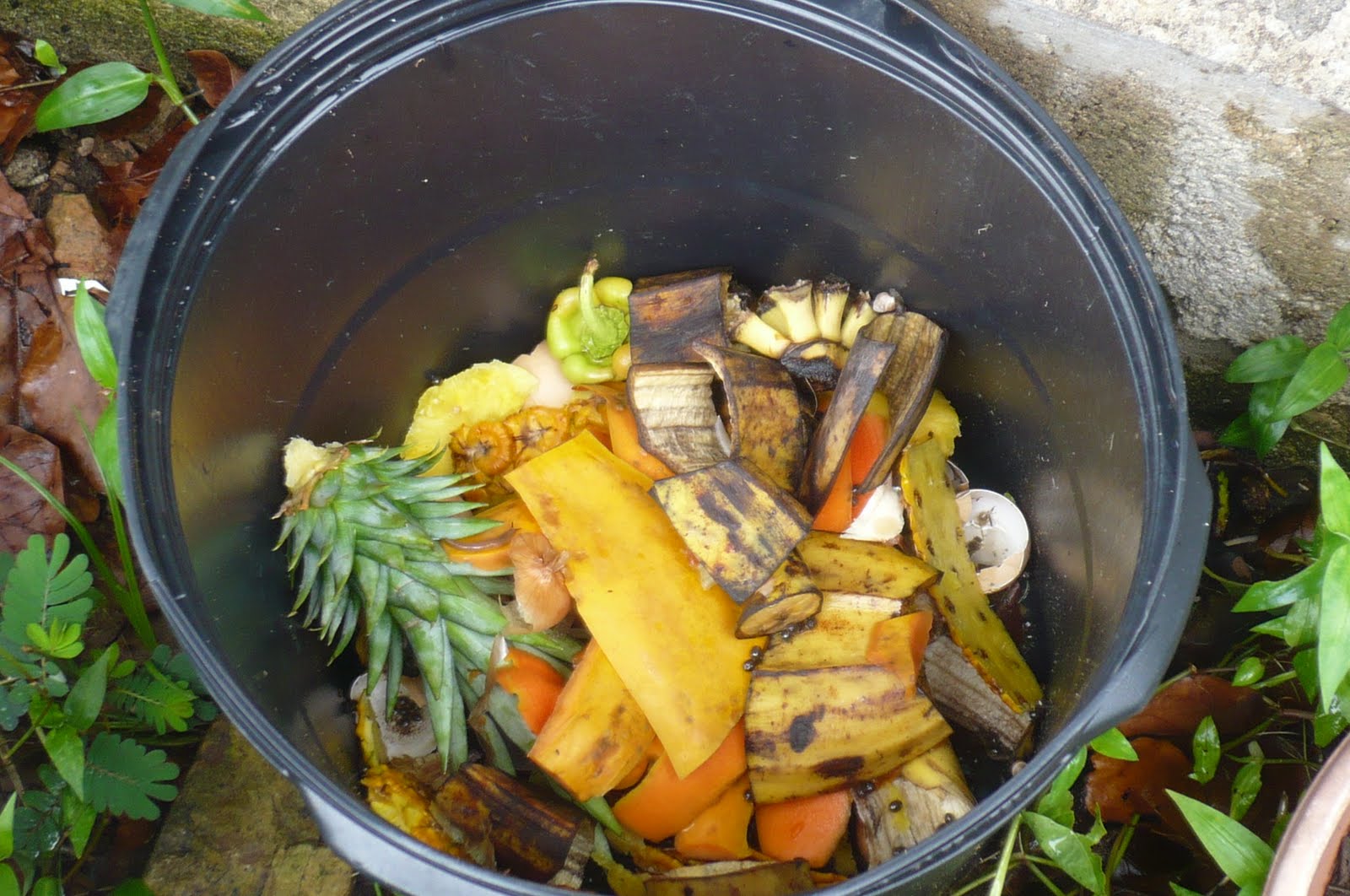 ¿Qué es la Composta? ~ Iniciativa Verde