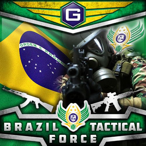 Erepublik Indonesia Image Workshop: Brazil Tactical Force logo & division uniforms