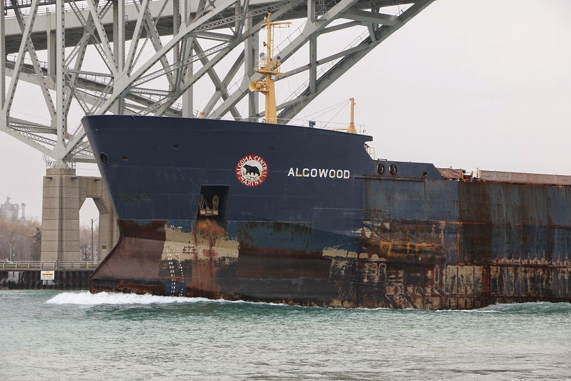 Michigan Exposures: Algowood if She Could