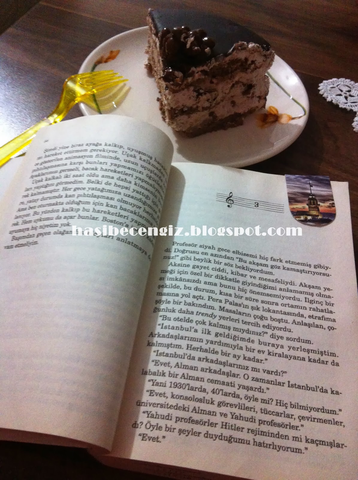 Kitap Eleştirisi : Serenad : Zülfü Livaneli - Hasibe CENGIZ | Kişisel Blog