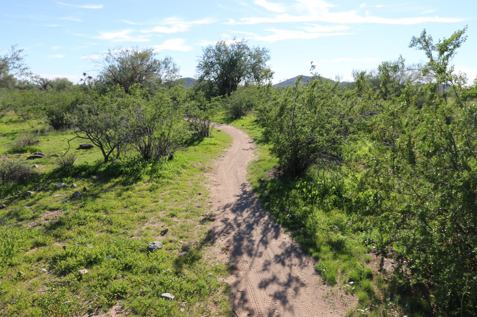 gjhikes.com: Apache Wash Loop