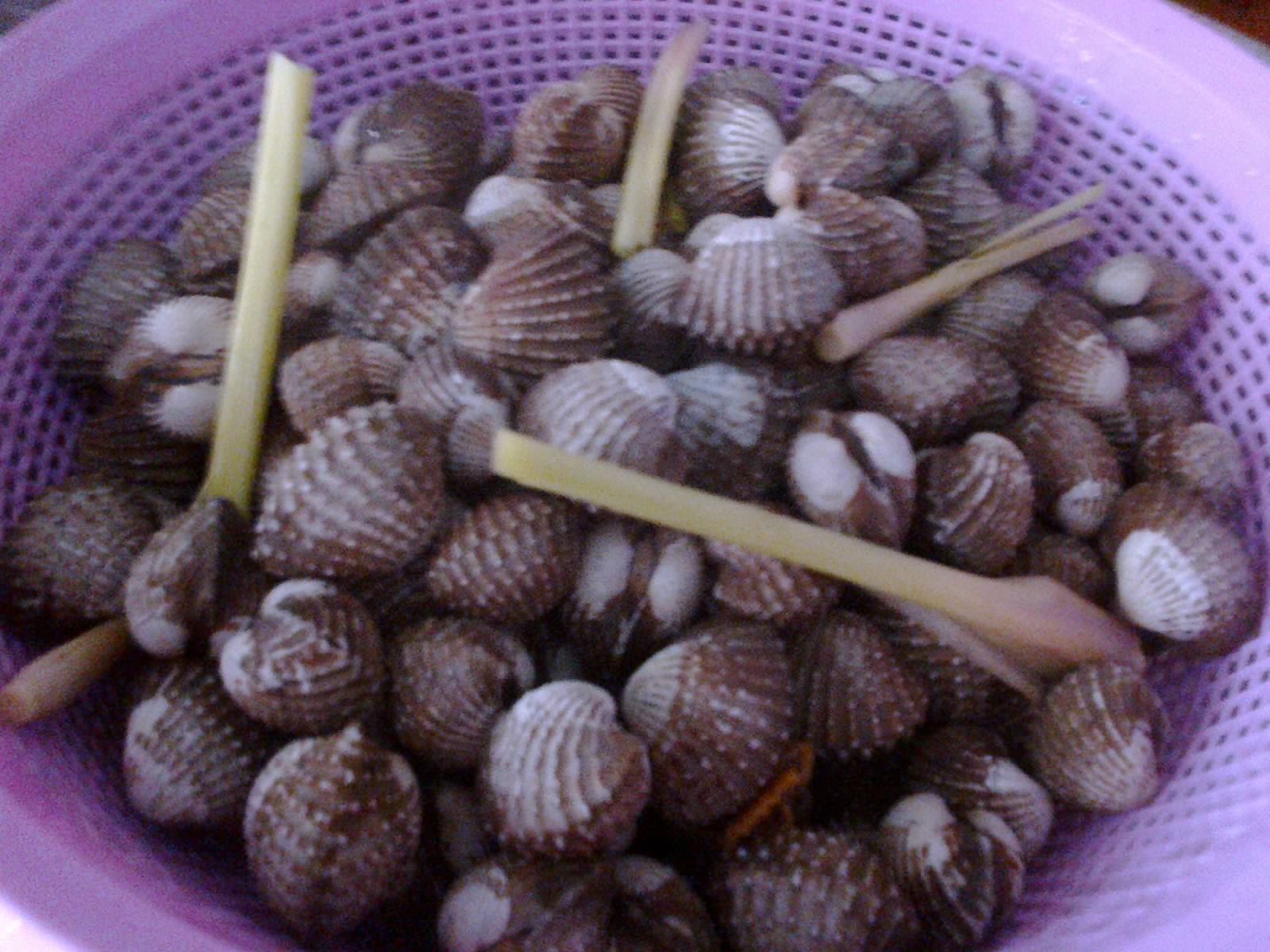 Macam Kerang Busuk!!!!!