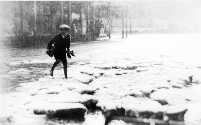 Fraser Coast Libraries Local History Blog: Hail Storm Catastrophe