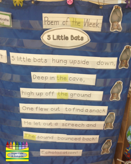 Crayons & Cuties In Kindergarten: We Went 'Batty!'