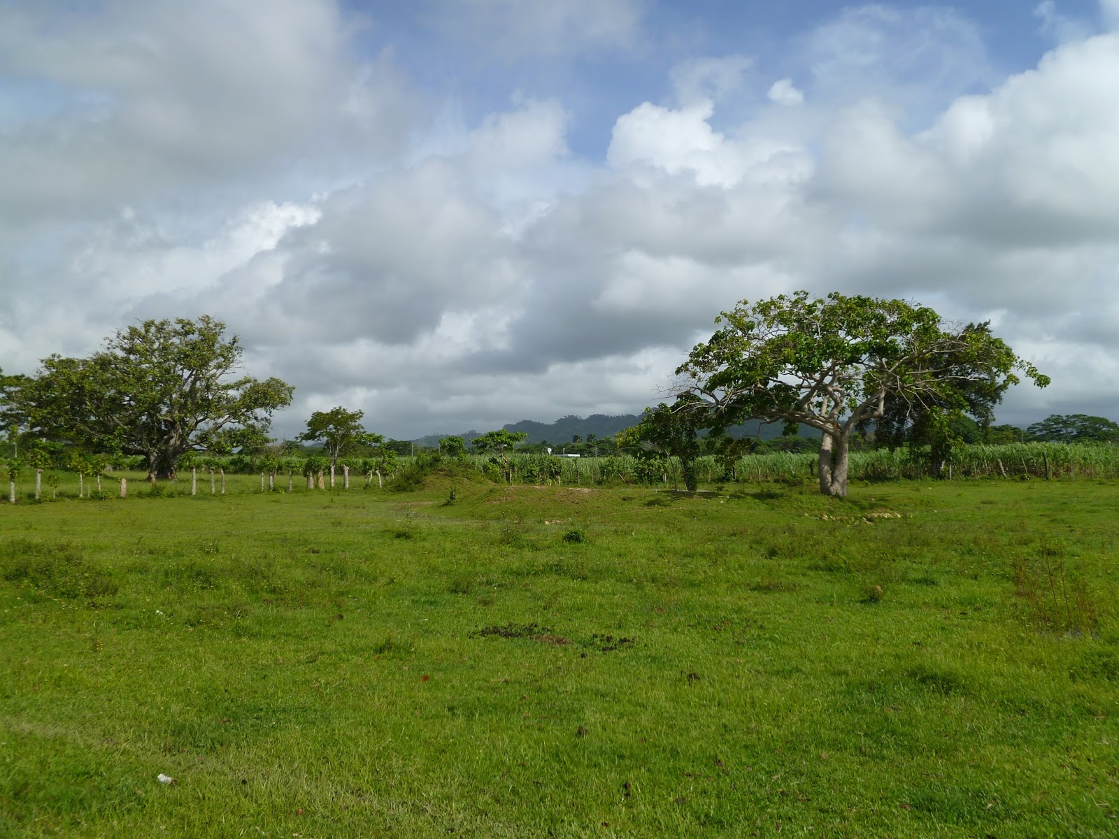 Something Very Bright