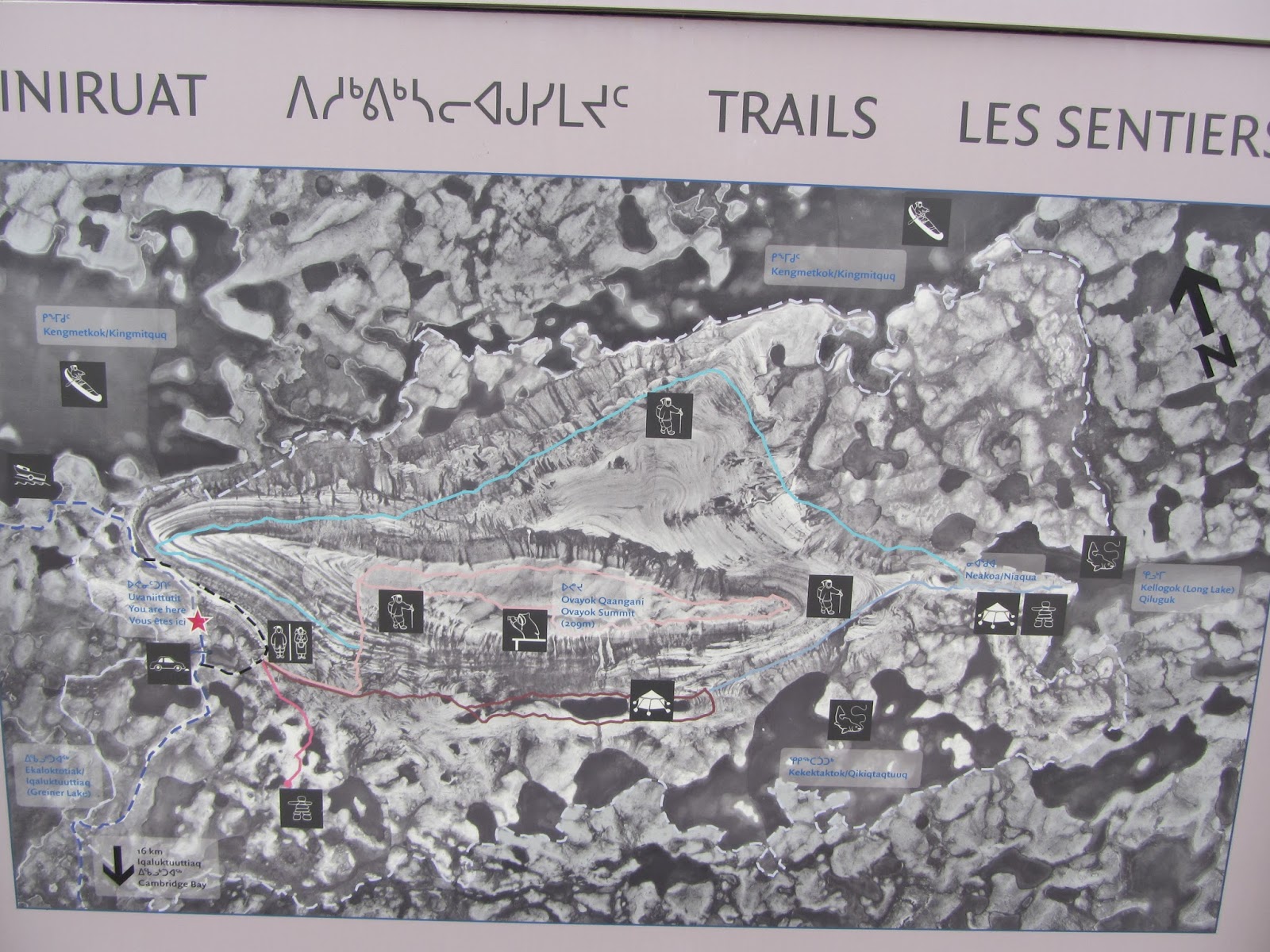 run, gloria, run!: climbing mount pelly