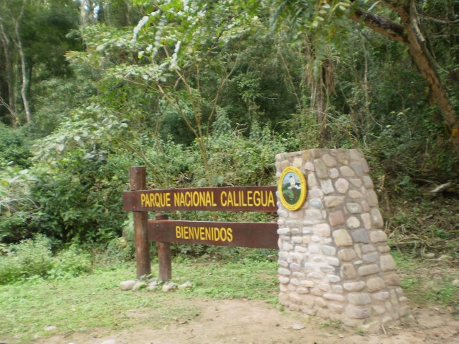El Parque Nacional Calilegua, es una alternativa turística espectacular ...
