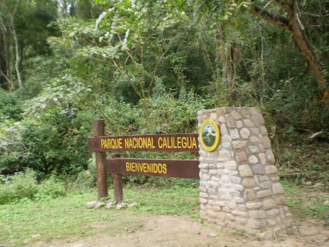 El Parque Nacional Calilegua, es una alternativa turística espectacular ...