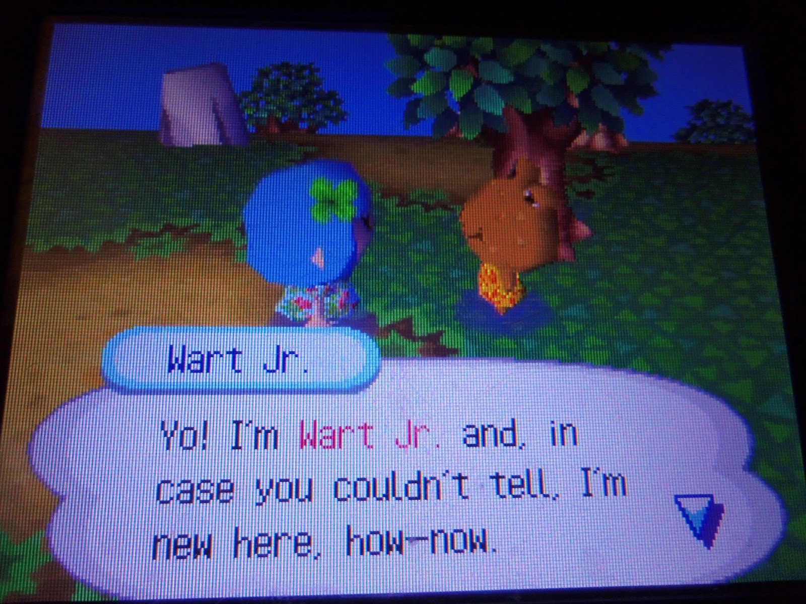 Animal Crossing Wild World: Turning Over a New Leaf