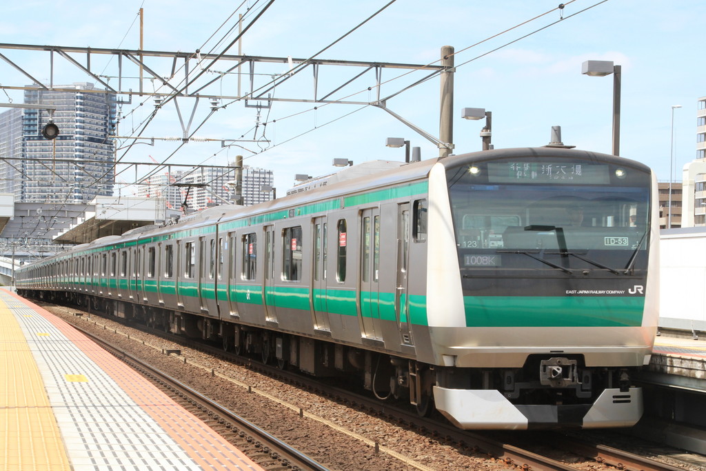 佐野次郎の電車図鑑: E233系7000番台（ハエ123編成）
