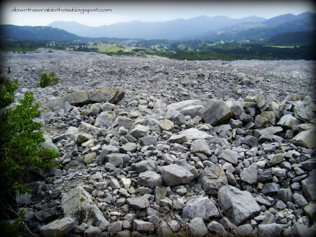 Down the Wrabbit Hole - The Travel Bucket List: Backyard Bucket List ...