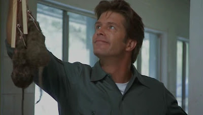 Todo El Terror Del Mundo: Anguilas Asesinas (Razortooth) (Саблезубая ...